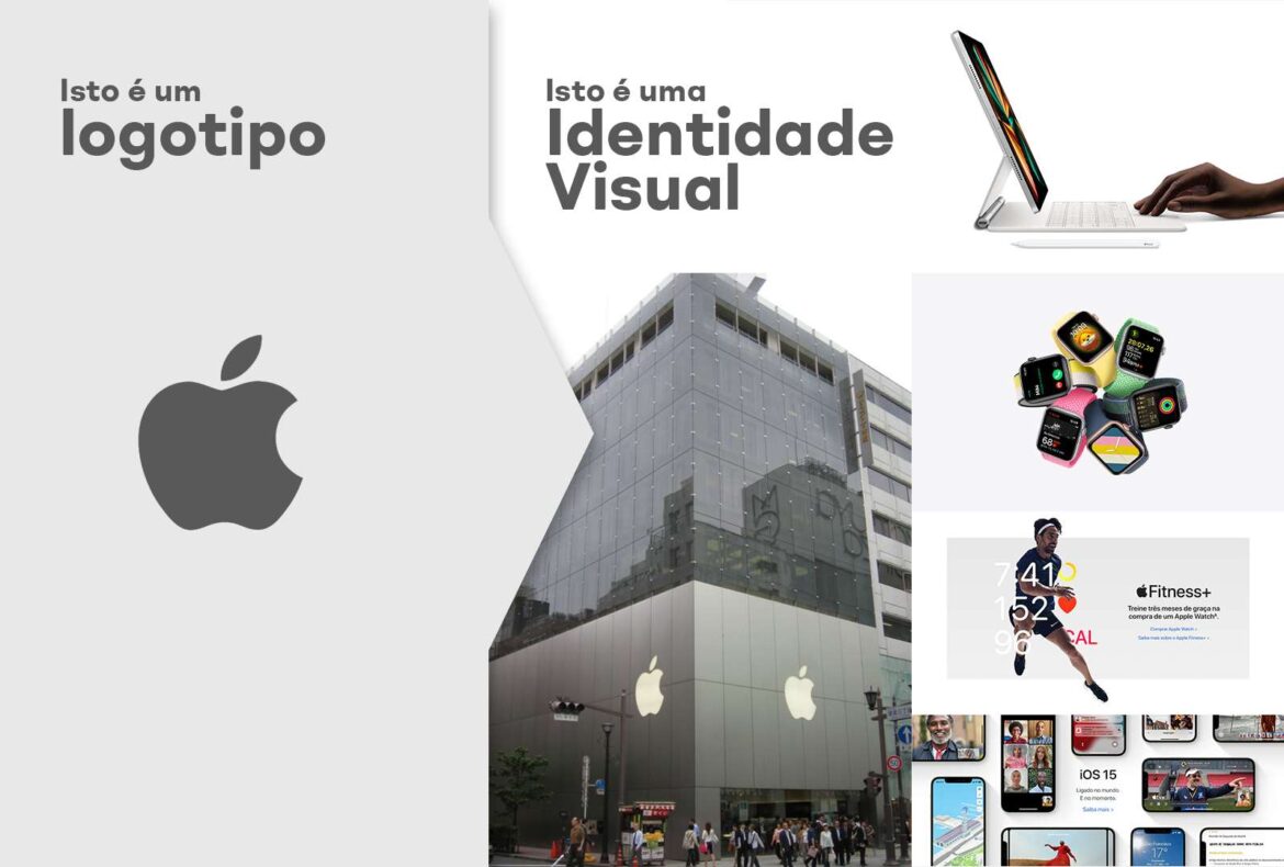 Diferença entre Identidade Visual e Logotipo | Caviar Criativo